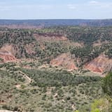 Rock Garden Trail, Texas - 1,066 Reviews, Map | AllTrails