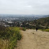 Runyon Canyon Trail, California - 8,117 Reviews, Map | AllTrails
