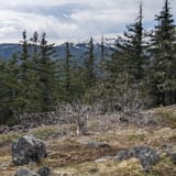 Wesley Ridge, British Columbia, Canada - 776 Reviews, Map | AllTrails