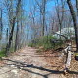 McAfee Knob via Catawba Sustainability Center, Virginia - 484 Reviews ...