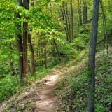 McAfee Knob via Catawba Sustainability Center, Virginia - 484 Reviews ...