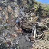 Adelmann Mine, Idaho - 1,245 Reviews, Map | AllTrails