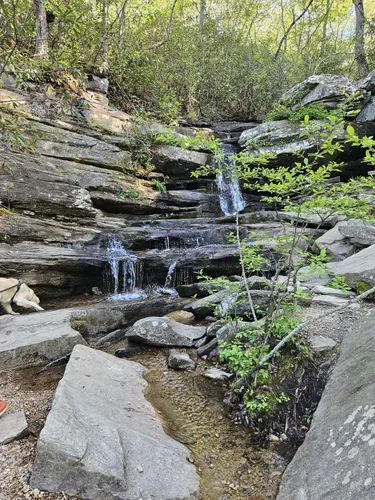 Best Waterfall Trails in Walnut Cove | AllTrails