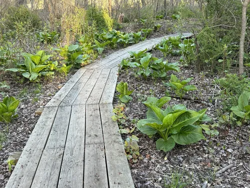 Best Lake Trails in Succasunna | AllTrails