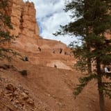 Navajo Loop Trail, Utah - 3,660 Reviews, Map | AllTrails