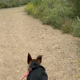 Inspiration Point Loop, California - 4,206 Reviews, Map | AllTrails