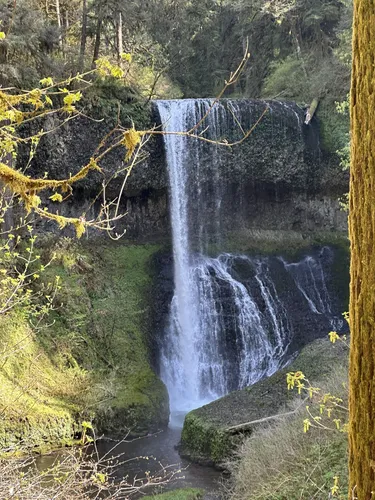 Best Waterfall Trails in Mehama | AllTrails