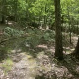 Beaver Lake Loop via Lost Bridge Trail, Arkansas - 594 Reviews, Map ...