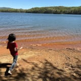 Lake Blue Ridge Loop , Georgia - 821 Reviews, Map | AllTrails