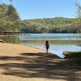 Lake Blue Ridge Loop , Georgia - 821 Reviews, Map | AllTrails