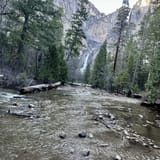 Sentinel Meadow Cook's Meadow Loop Trail, California - 3,091 Reviews ...