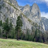 Sentinel Meadow Cook's Meadow Loop Trail, California - 3,091 Reviews ...