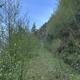 Angora Peak, Oregon - 389 Reviews, Map | AllTrails