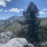 Desert View Trail, California - 1,695 Reviews, Map | AllTrails