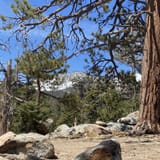 Desert View Trail, California - 1,470 Reviews, Map | AllTrails
