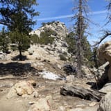 Desert View Trail, California - 1,535 Reviews, Map | AllTrails