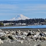 Marine View Park Loop Trail, Washington - 540 Reviews, Map | AllTrails