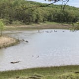 White Bison Loop, Missouri - 2,407 Reviews, Map | AllTrails