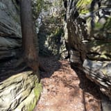 Rock City Trail, West Virginia - 525 Reviews, Map | AllTrails