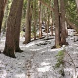 Mount Rose Trail, Washington - 1,482 Reviews, Map | AllTrails