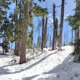 Mount Rose Trail, Washington - 1,482 Reviews, Map | AllTrails