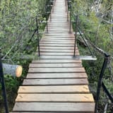 Tubbs Hill, Idaho - 4,122 Reviews, Map | AllTrails