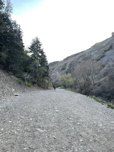 Best River Trails in Mutual Dell | AllTrails