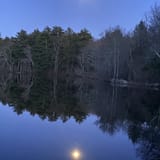 Leach Pond Trail, Massachusetts - 2,633 Reviews, Map | AllTrails