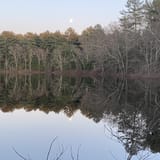Leach Pond Trail, Massachusetts - 2,633 Reviews, Map | AllTrails