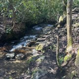 Soco Falls Trail, North Carolina - 758 Reviews, Map | AllTrails