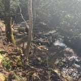 Soco Falls Trail, North Carolina - 758 Reviews, Map | AllTrails