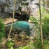 Cave Spring Loop Trail, Missouri - 373 Reviews, Map | AllTrails