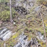Sultan River Canyon Trail, Washington - 276 Reviews, Map | AllTrails