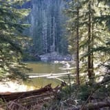 Barclay Lake Trail, Washington - 1,846 Reviews, Map | AllTrails