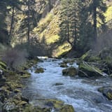 Rapid River Trail, Idaho - 233 Reviews, Map | AllTrails