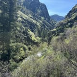 Rapid River Trail, Idaho - 260 Reviews, Map | AllTrails