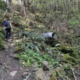 Amanda's Trail, Oregon - 156 Reviews, Map | AllTrails