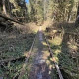 Sultan River Canyon Trail, Washington - 276 Reviews, Map | AllTrails
