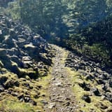 Wyeth to Gorge Trail, Oregon - 178 Reviews, Map | AllTrails