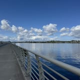 WA 520 Trail, Washington - 717 Reviews, Map | AllTrails