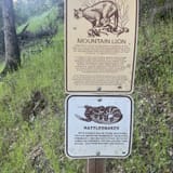 Point Defiance Trail, California - 664 Reviews, Map | AllTrails