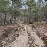 Blue Job Mountain Loop, New Hampshire - 1,950 Reviews, Map | AllTrails