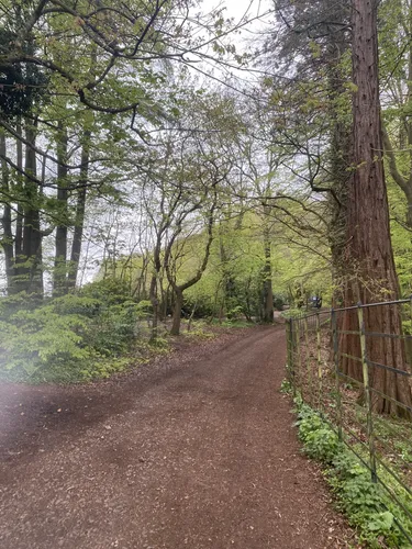 Best Moderate Trails in Ashton Court Estate | AllTrails