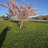 Cousler Park Loop, Pennsylvania - 582 Reviews, Map | AllTrails