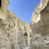 Wiregrass Canyon, Utah - 159 Reviews, Map | AllTrails