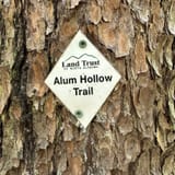 Alum Hollow Trail, Alabama - 1,026 Reviews, Map | AllTrails