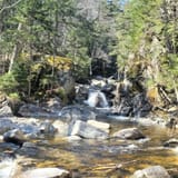Basin Cascade Trail, New Hampshire - 1,628 Reviews, Map | AllTrails