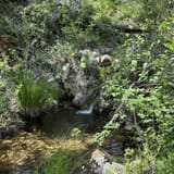 Wintu Loop, California - 235 Reviews, Map | AllTrails