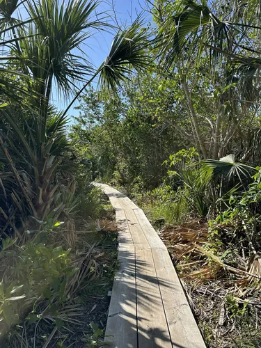 Best Hikes and Trails in Coconut Point Sanctuary | AllTrails