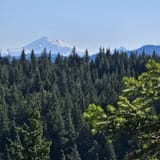 Chuckanut Ridge Trail, Washington - 403 Reviews, Map | AllTrails